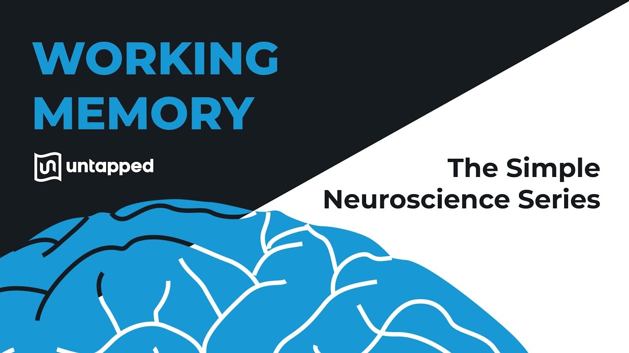 The Simple Neuroscience of Working Memory: Verified - Untapped Learning