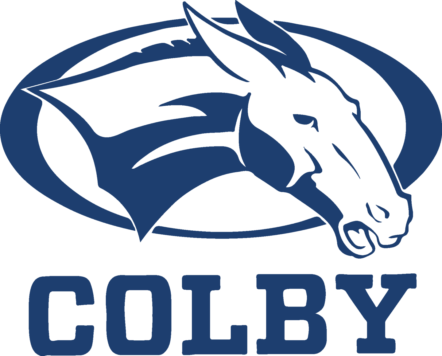 College Coaching & Mentoring Program - Untapped Learning