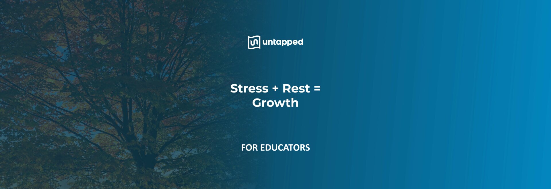 The Importance of Rest for Learning - Untapped Learning