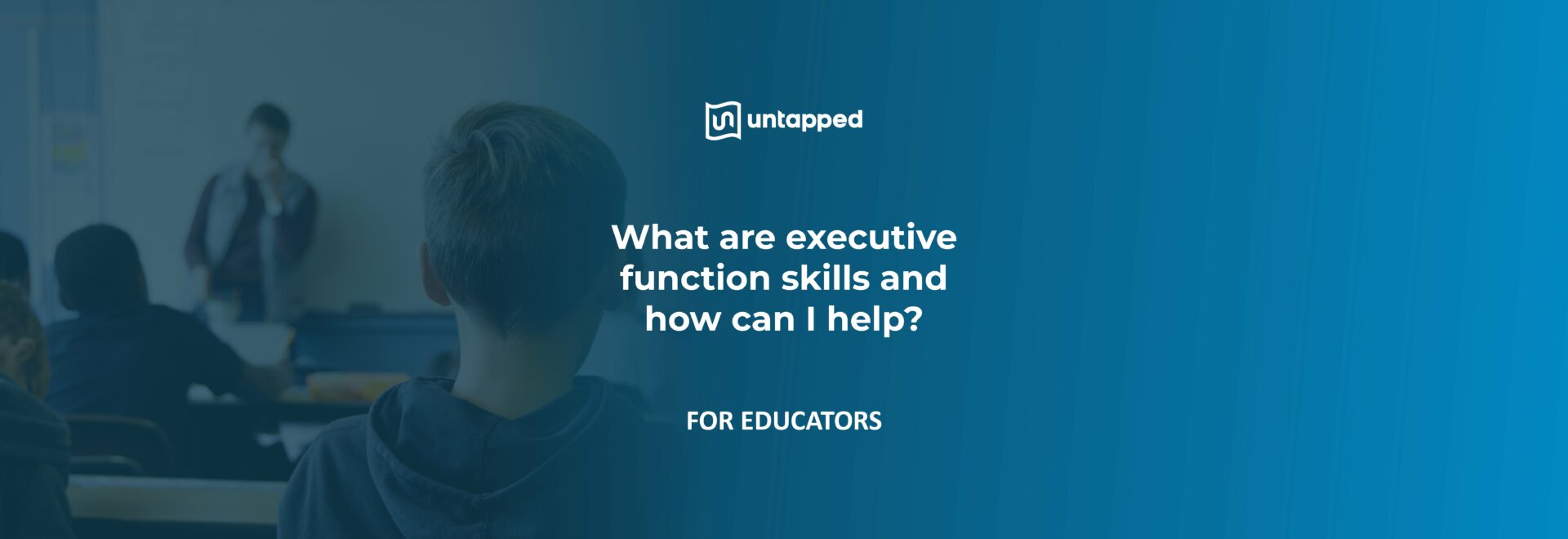 What are Executive Function Skills and How Can I Help? - Untapped Learning