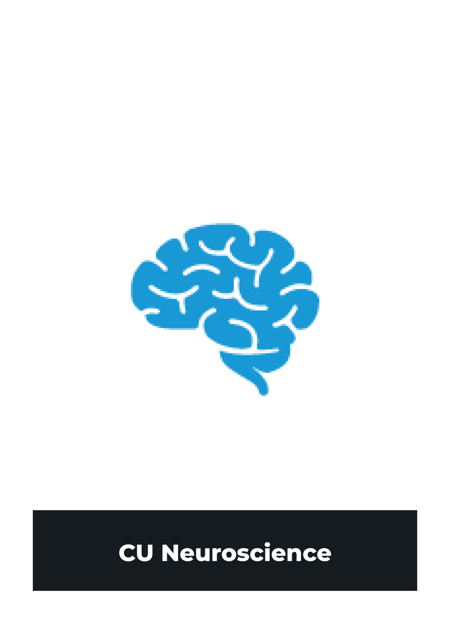 CU Boulder | Executive Function Coaching | Untapped Learning