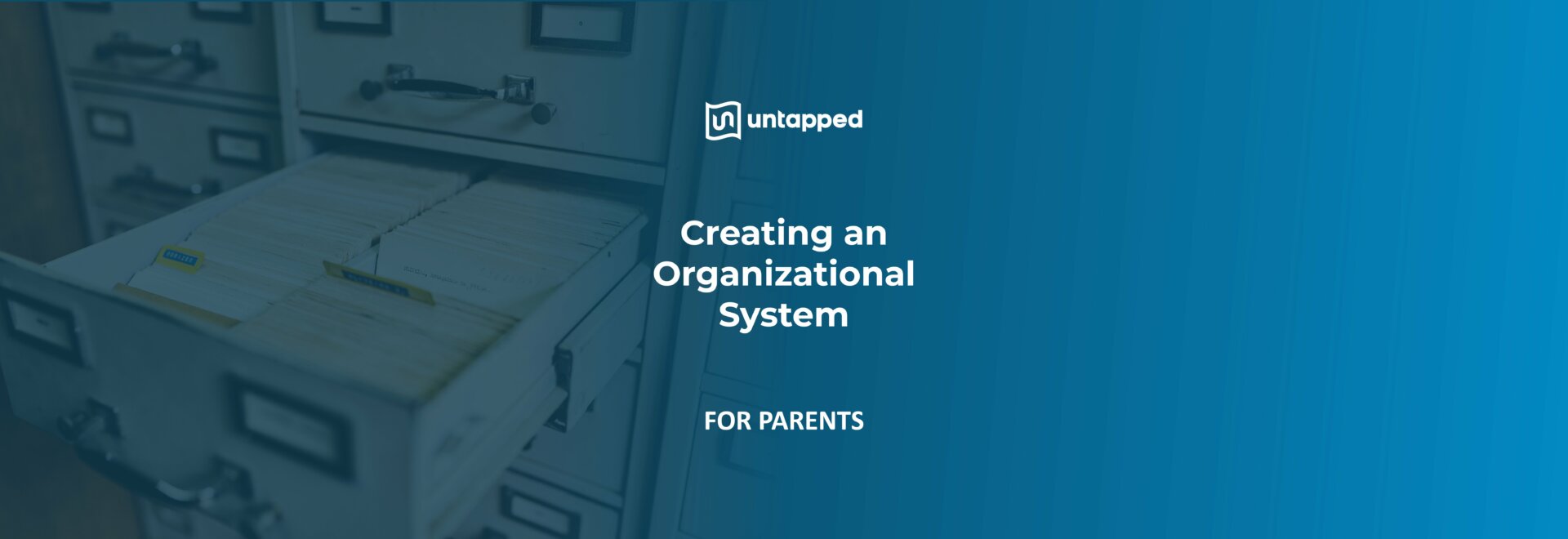 Creating an Organizational System - Untapped Learning Creating an Organizational System - Untapped Learning