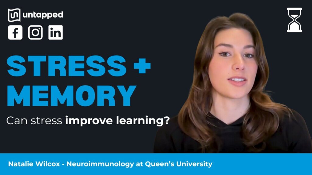 Untapped Learning - Executive Function Coaching & Mentoring